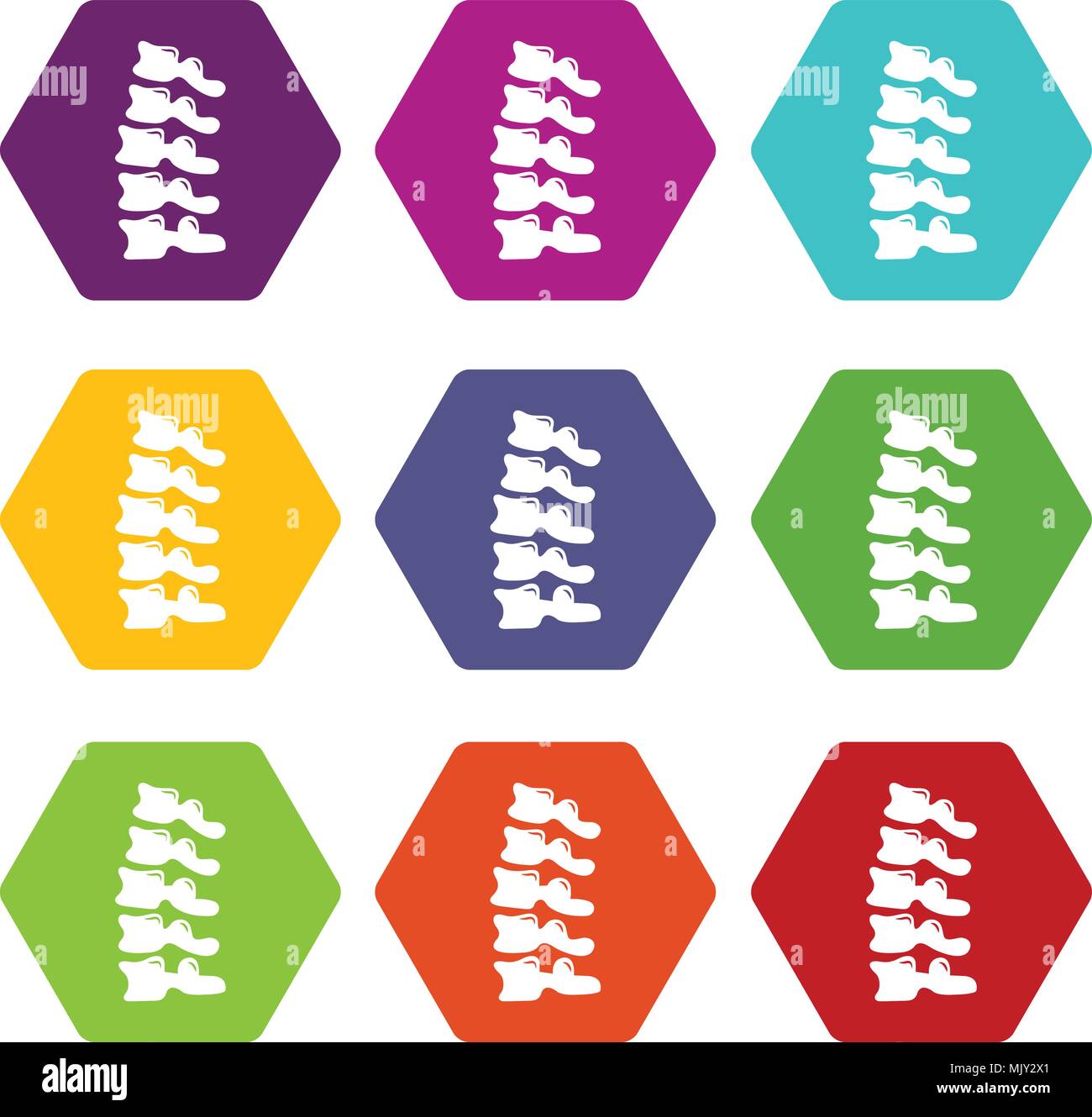 Vertebrae icons set 9 vector Stock Vector Image & Art - Alamy