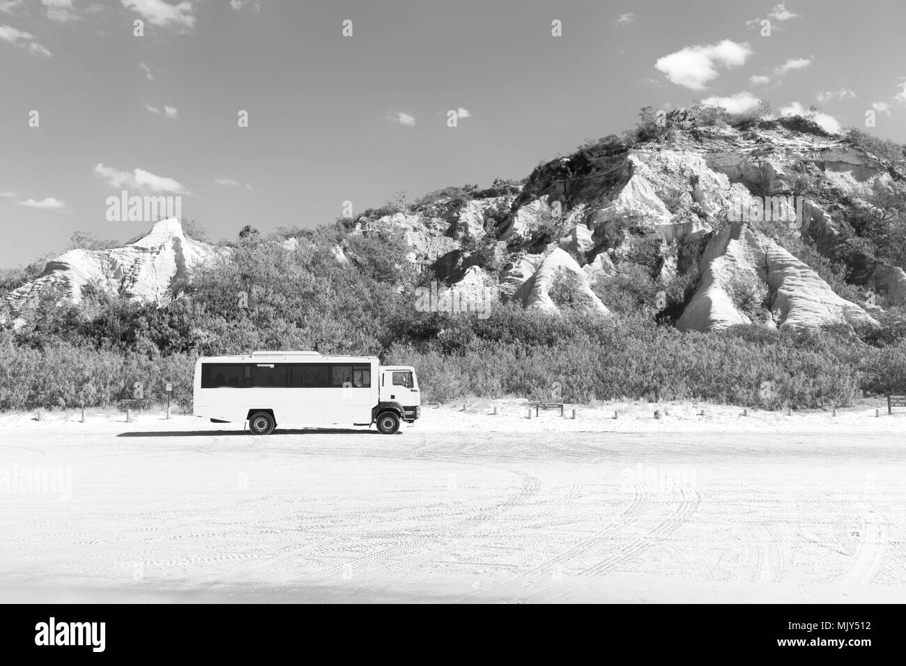 in australia fraser island and the sand track of the bus near the ocean ...