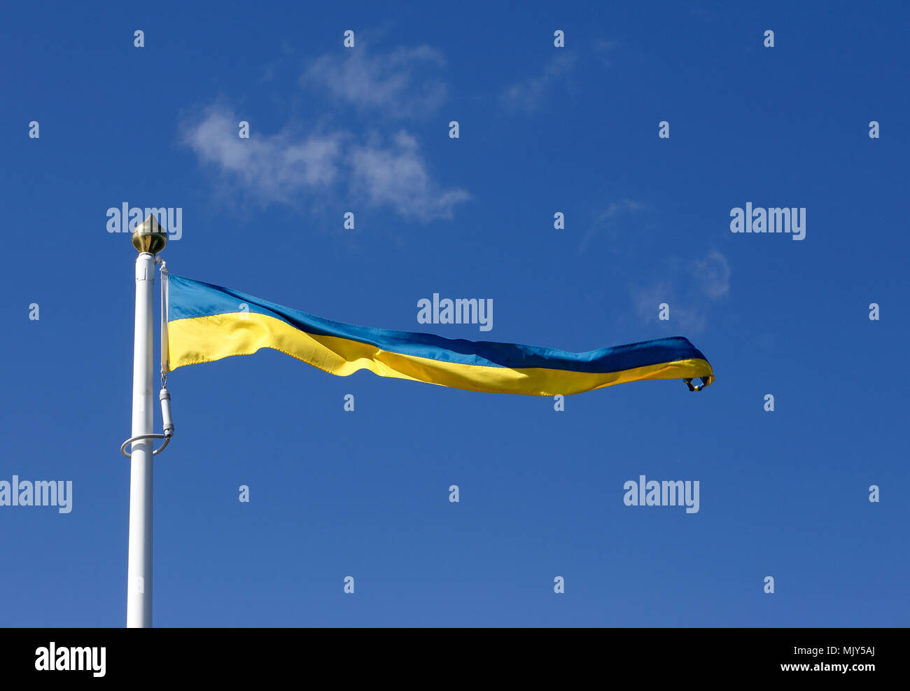 Close-up of a flying Swedish pennant Stock Photo - Alamy