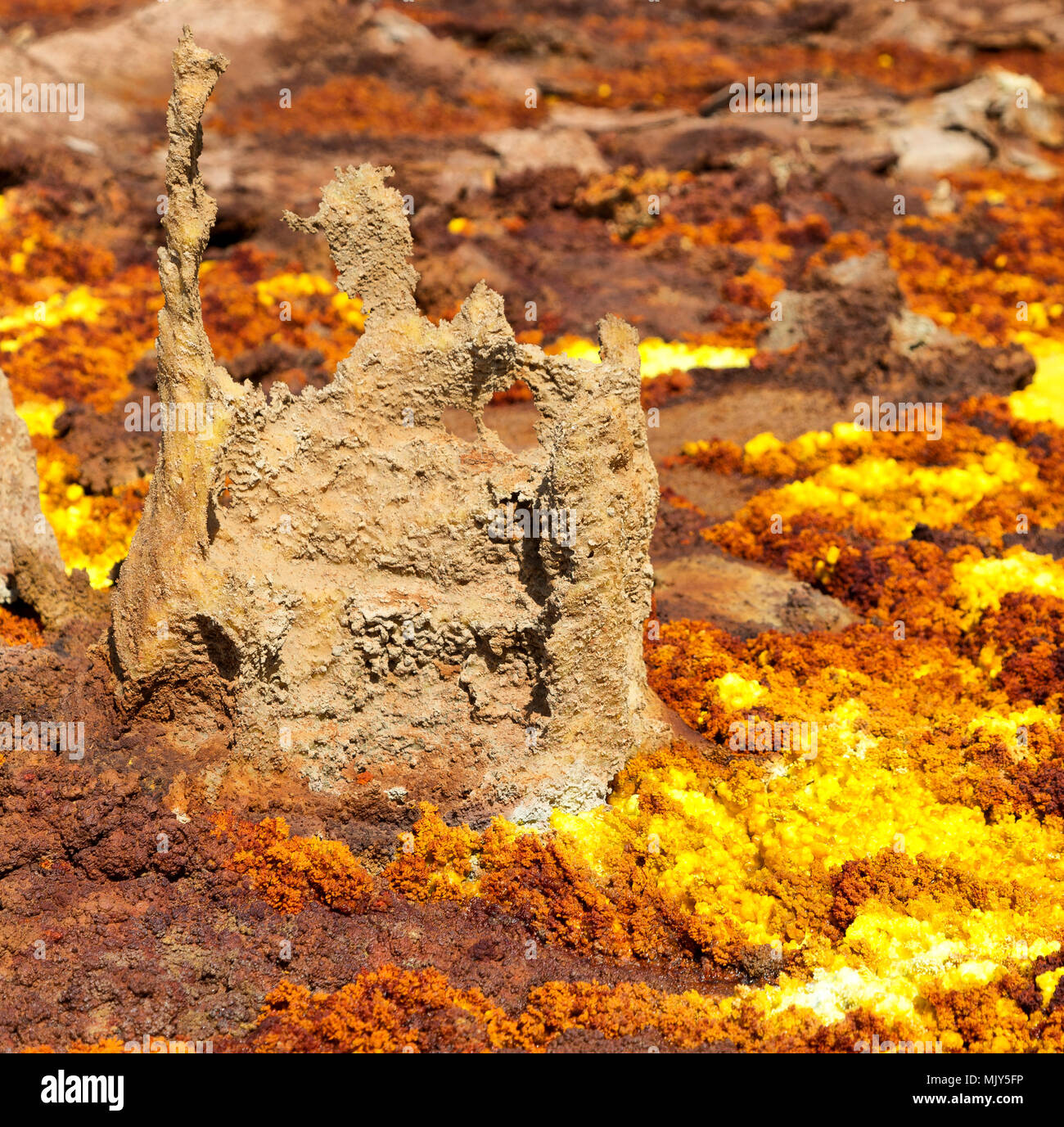 in danakil ethiopia africa the volcanic depression of dallol Stock ...