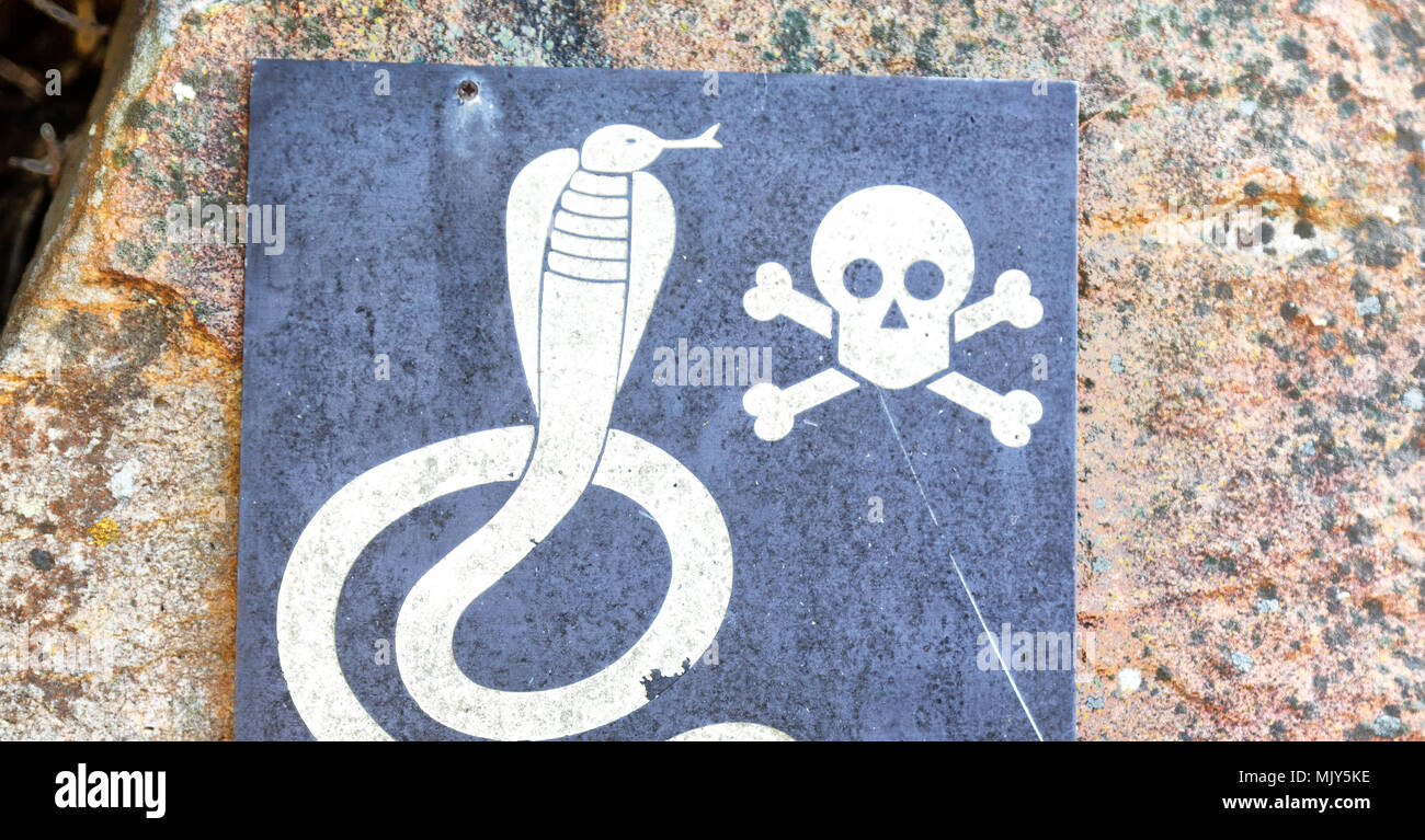 in south africa the metal signal of the danger for wild snake and the ...