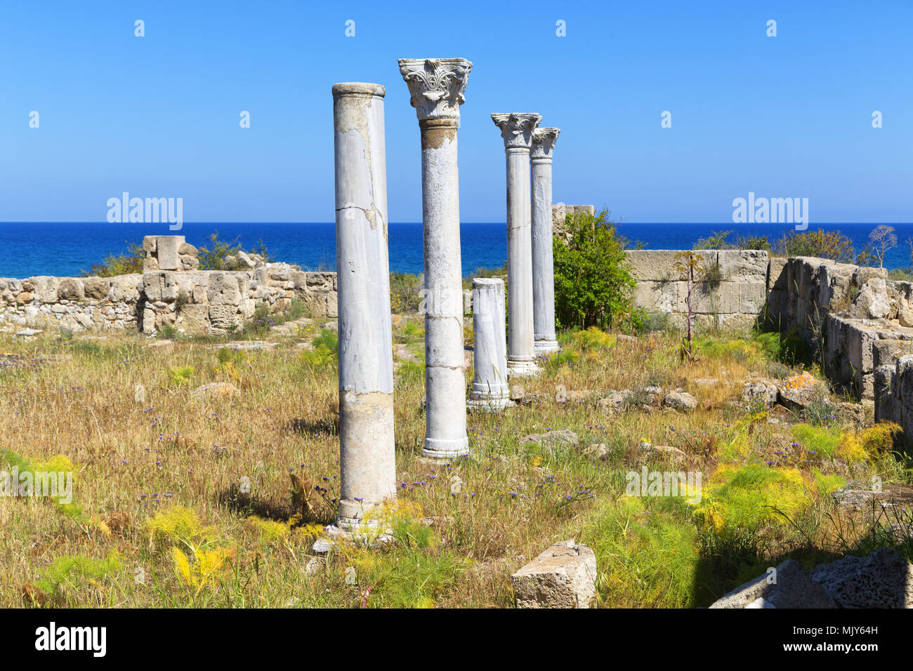 in northern of cyprus the antique city and ruins of salamina history ...