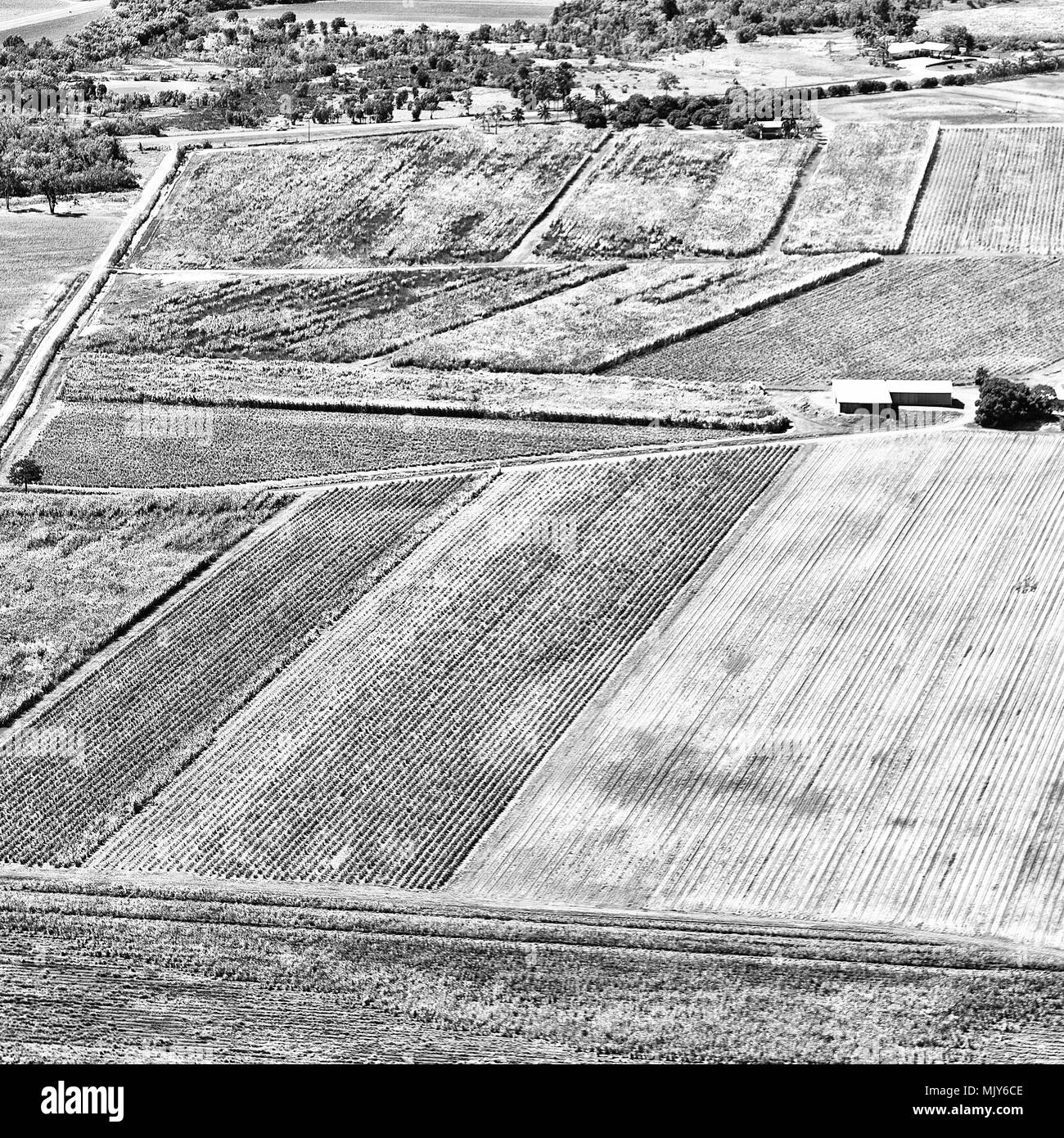 texture in australia field of colutivation from the high Stock Photo ...