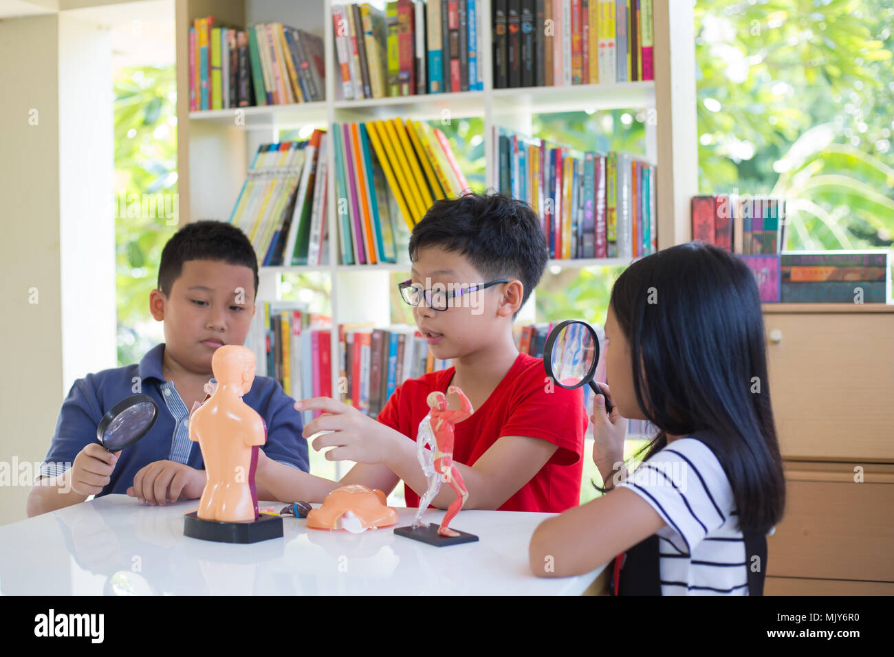 Group of students learning biology of human anatomy in biolohgy class ...