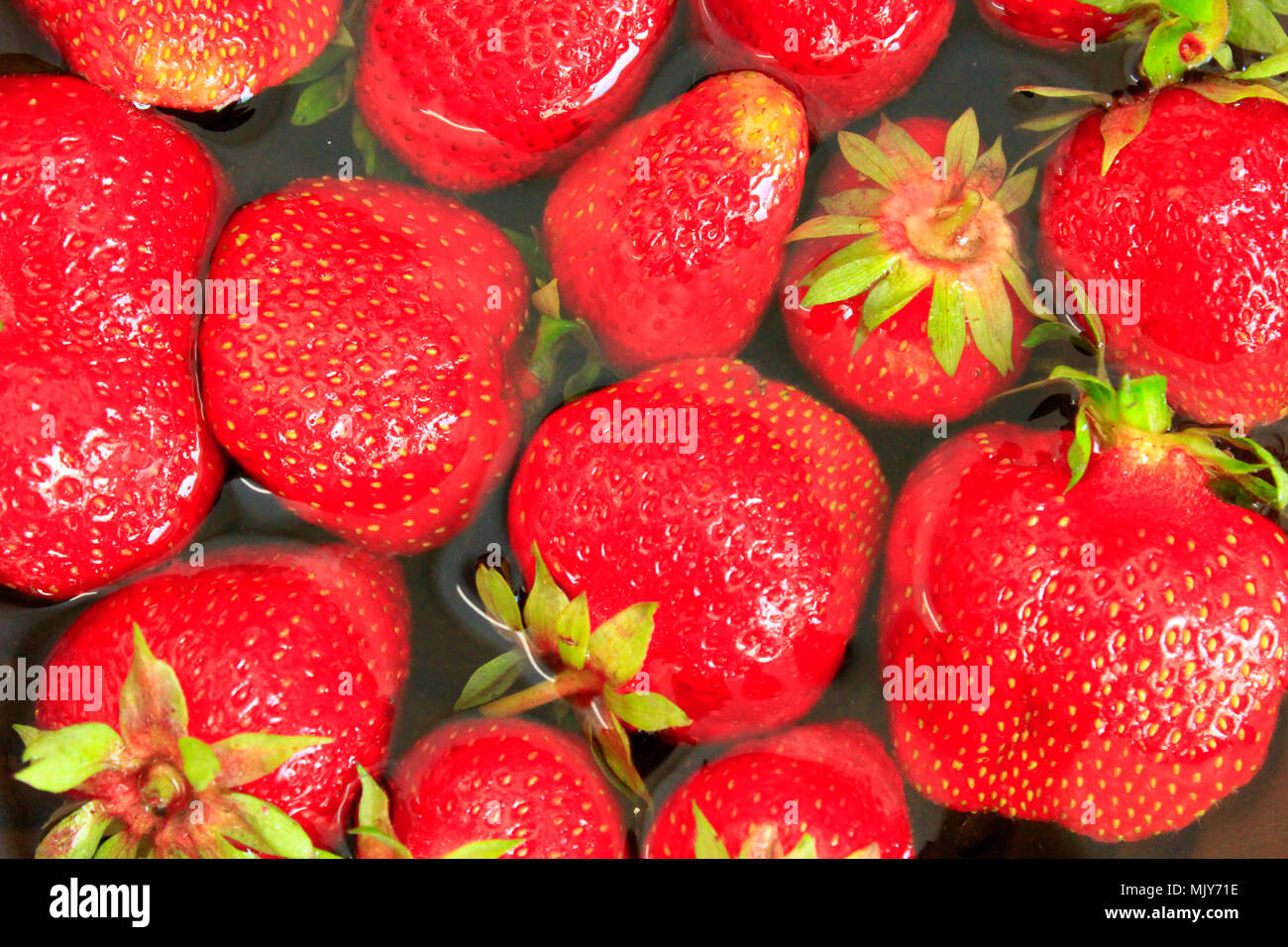 Strawberry ripe process hi-res stock photography and images - Alamy