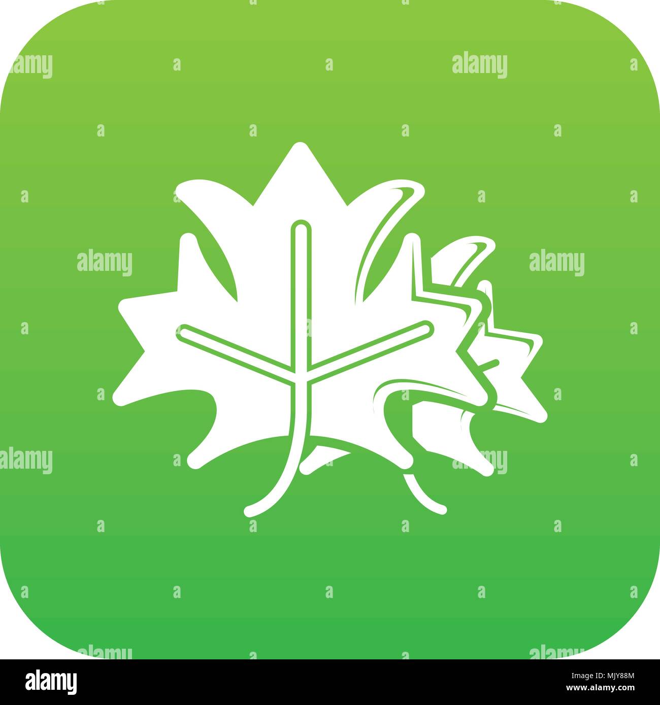 Maple icon green vector Stock Vector Image & Art - Alamy