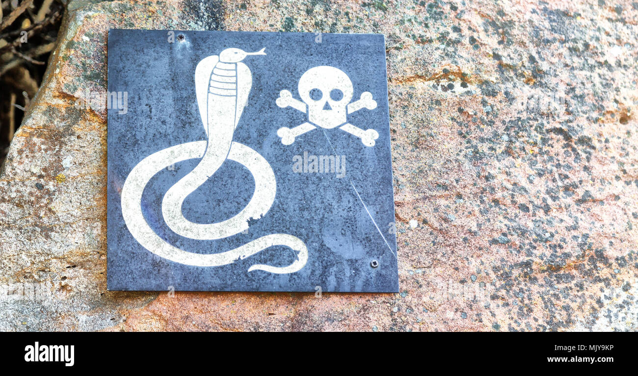 in south africa the metal signal of the danger for wild snake and the ...