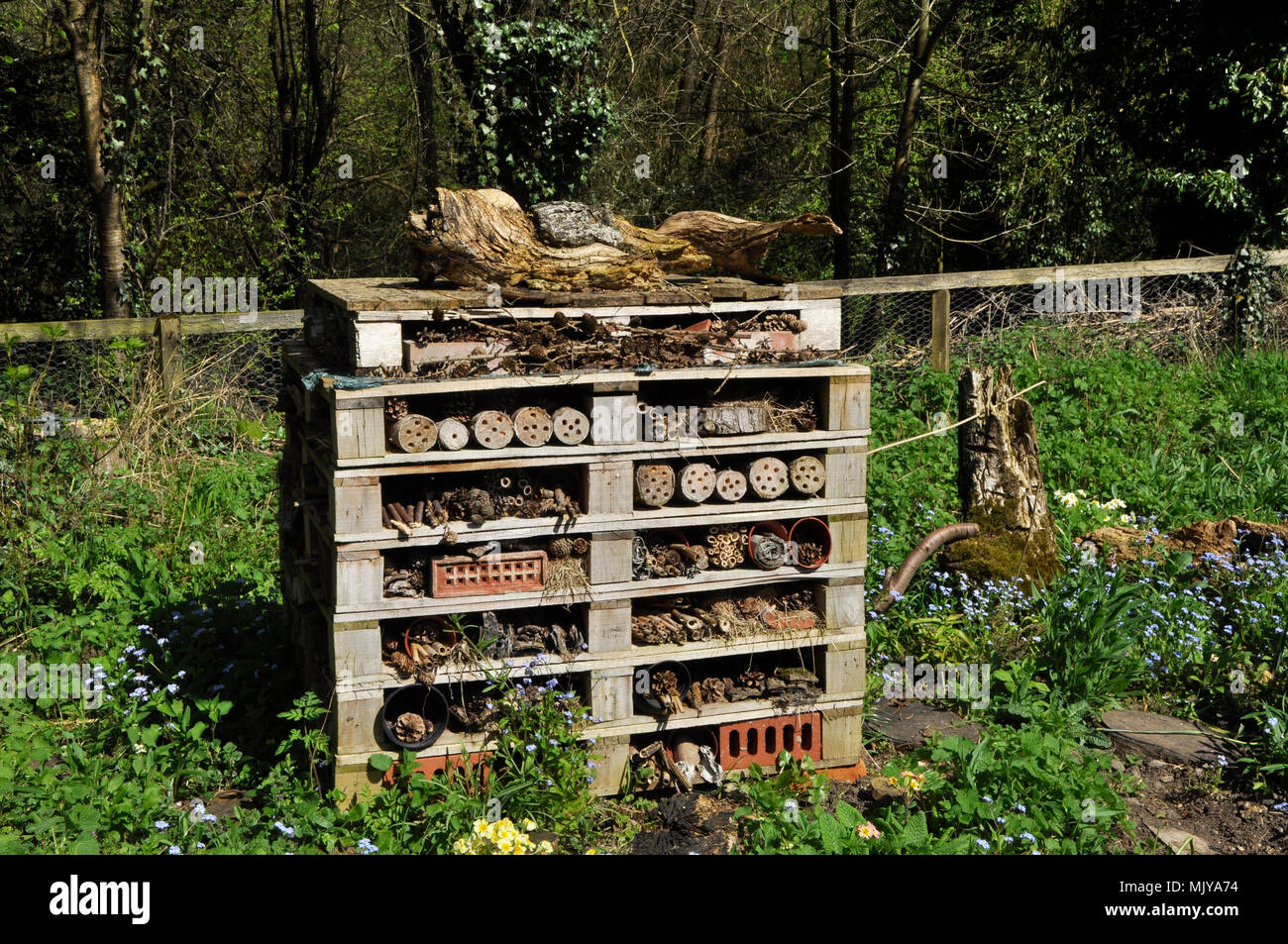 Bug house hi-res stock photography and images - Alamy