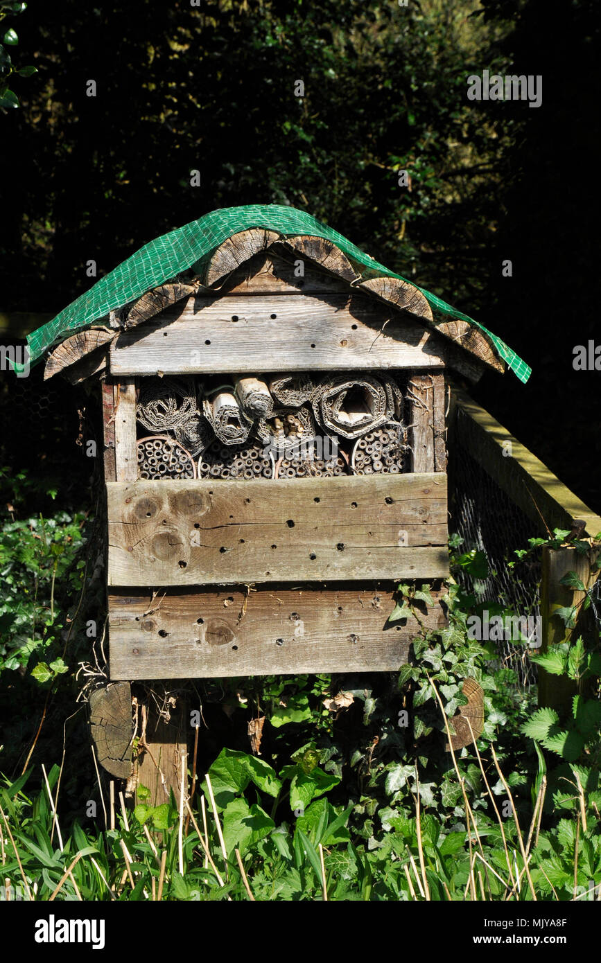 Bug house hi-res stock photography and images - Alamy
