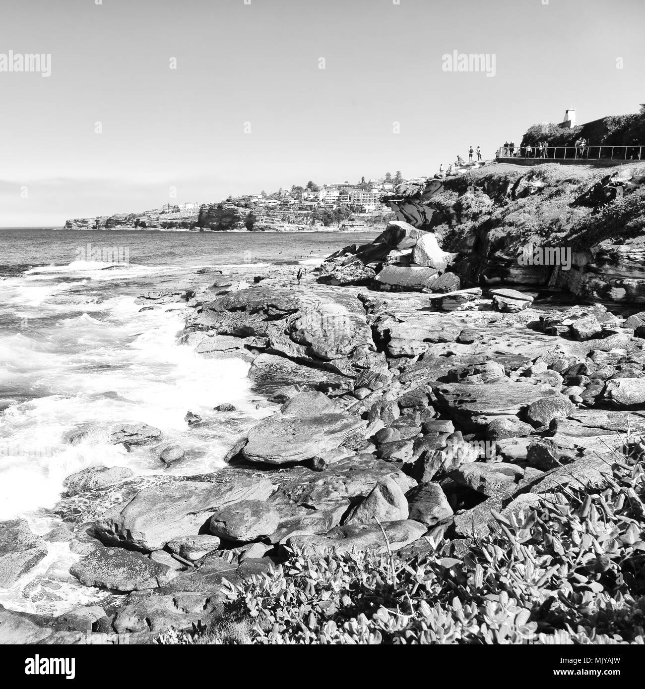 in australia sydney the bay the rock and the ocean near bondi beach ...