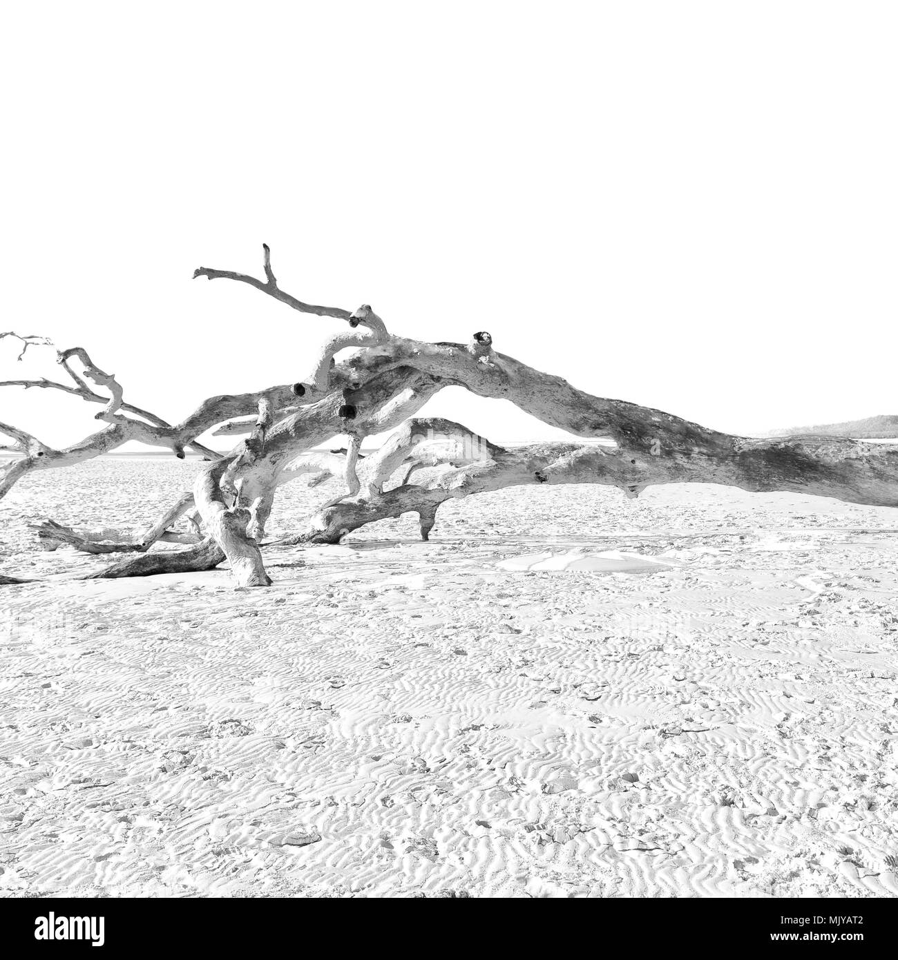 Australia queensland whitehaven beach whitsunday Black and White Stock ...