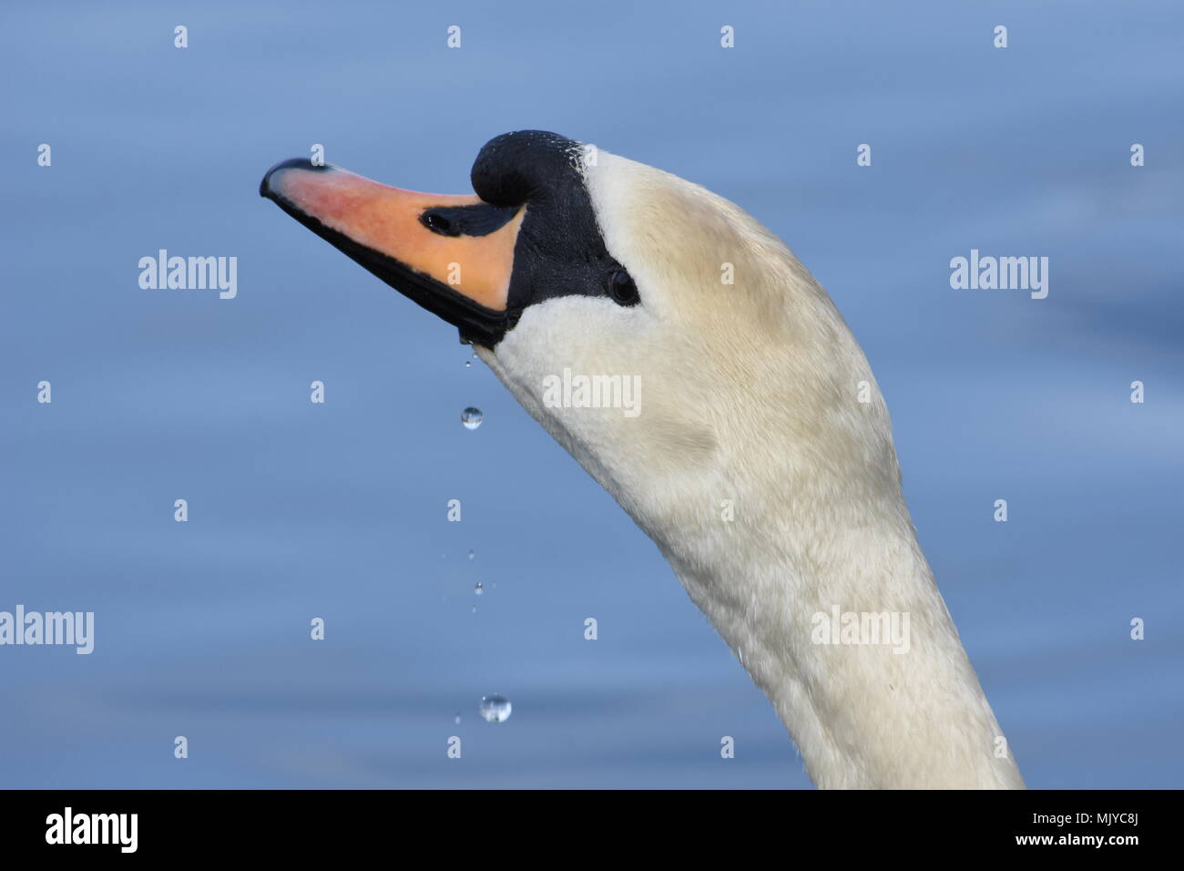Moses gate hi-res stock photography and images - Alamy