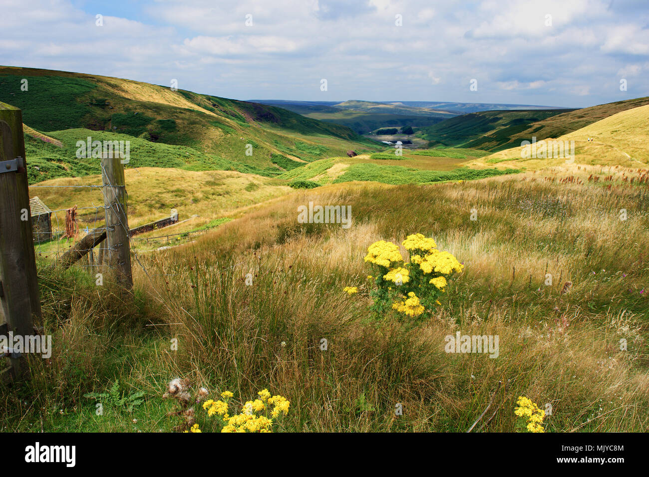 Over looking the Wessenden Reservoir near Marsden Stock Photo - Alamy