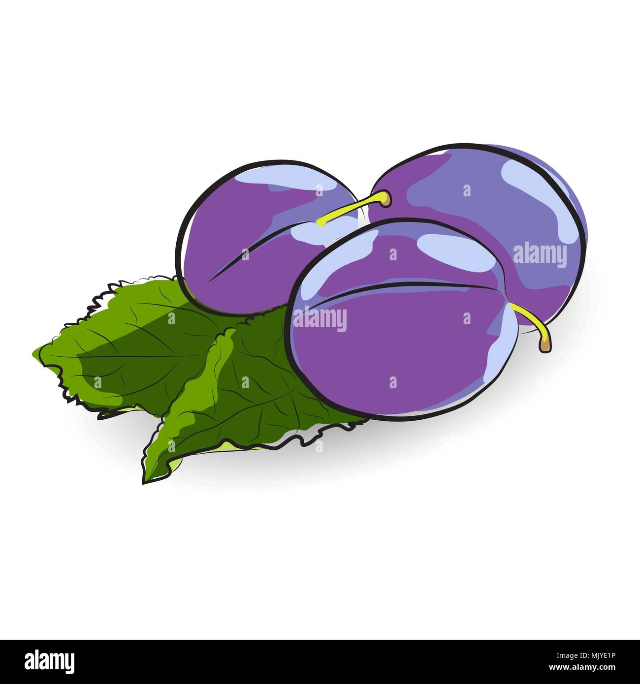hand-drawn vector illustration plums Stock Vector Image & Art - Alamy