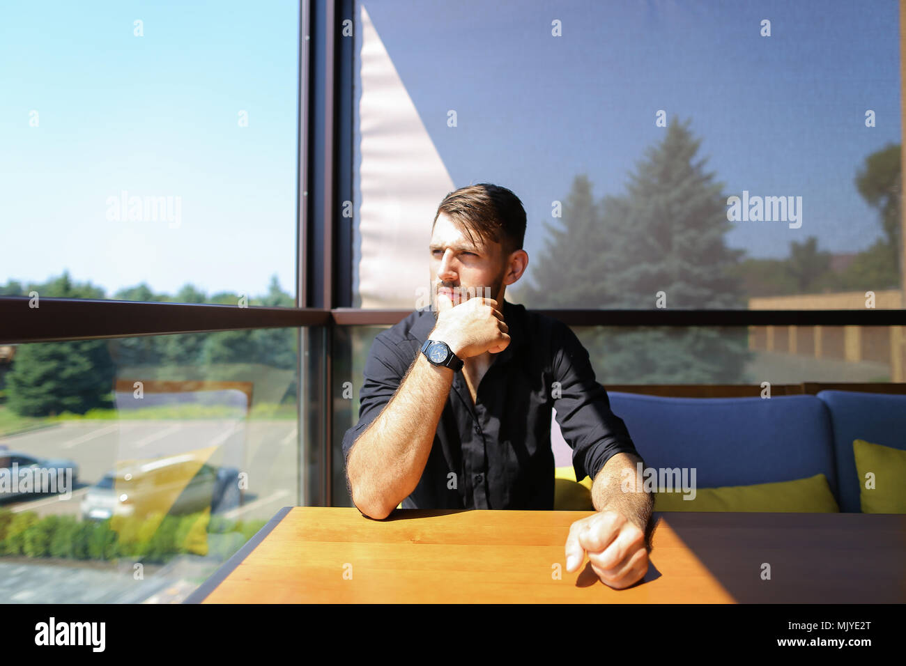 Young male ecologist sitting at office on sofa with trees in background ...