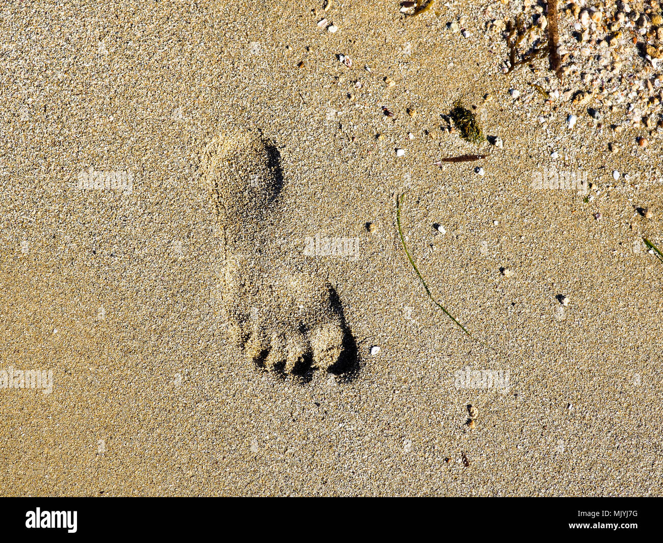 Human nature alone hi-res stock photography and images - Alamy