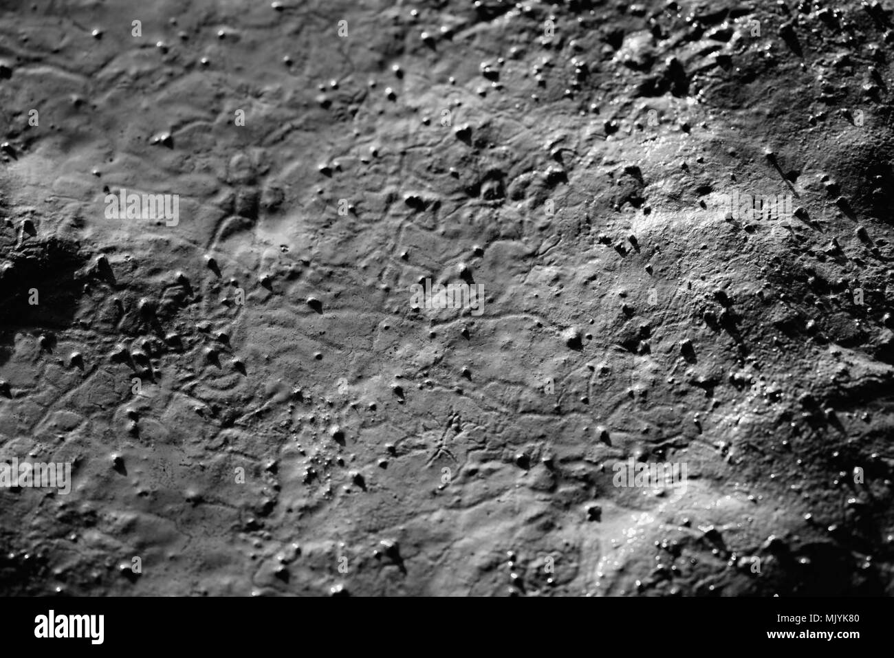 Black mud ground texture background Black and White Stock Photos ...