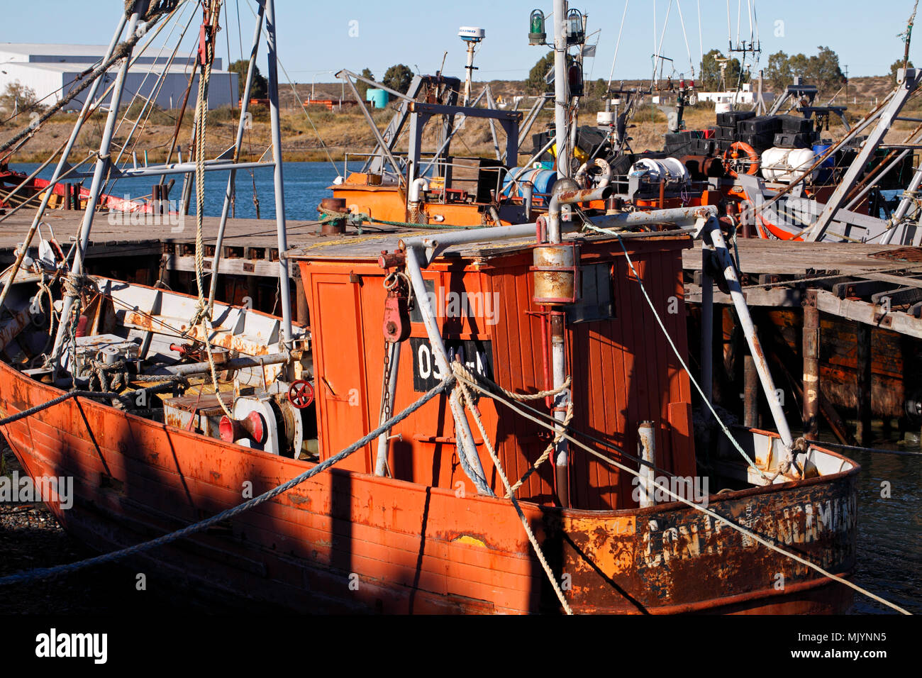 Toothfish hi-res stock photography and images - Alamy
