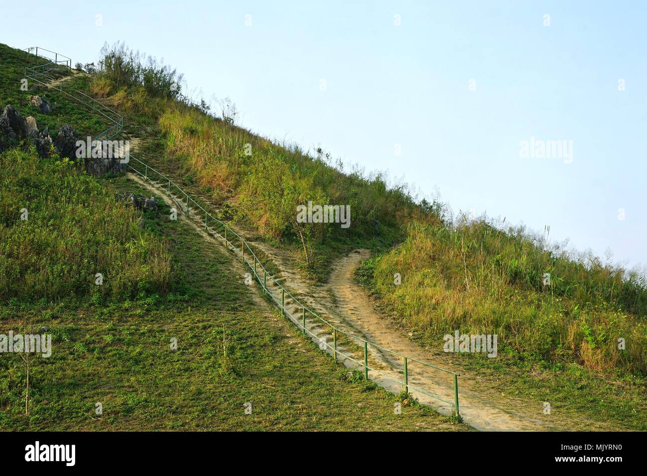Curved mountain path in the morning at Doi Pha Tang, Chiangrai ...