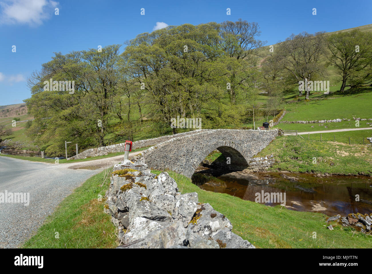 Yockenthwaite in Whafedale in the Yorkshire Dales showing new spring ...
