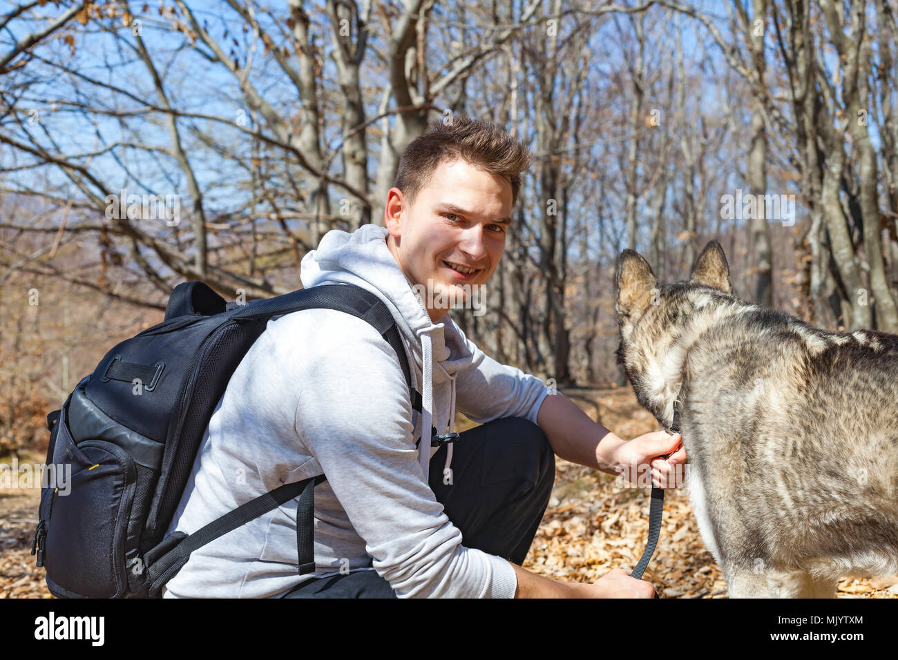 Crossbreed of siberian husky hi-res stock photography and images - Alamy