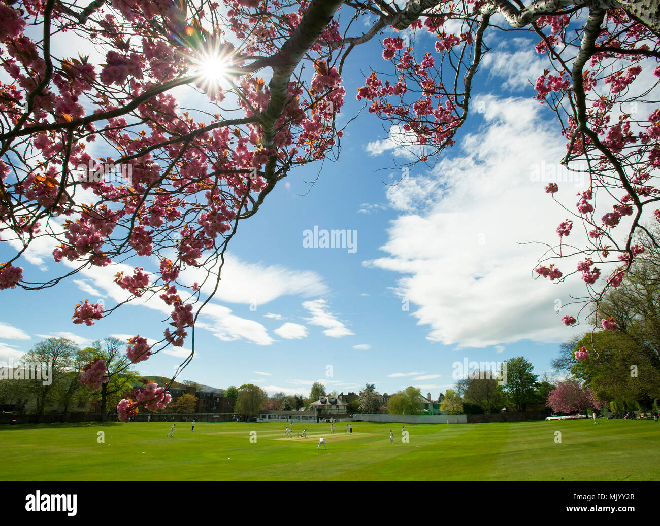 Carlton cricket ground at Grange Loan, Edinburgh Stock Photo - Alamy