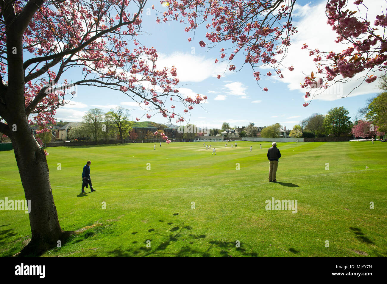 Carlton cricket ground at Grange Loan, Edinburgh Stock Photo - Alamy