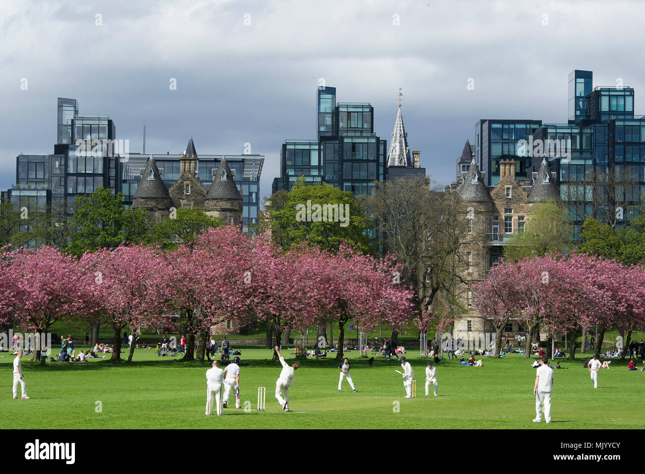 Scottish meadows hi-res stock photography and images - Alamy