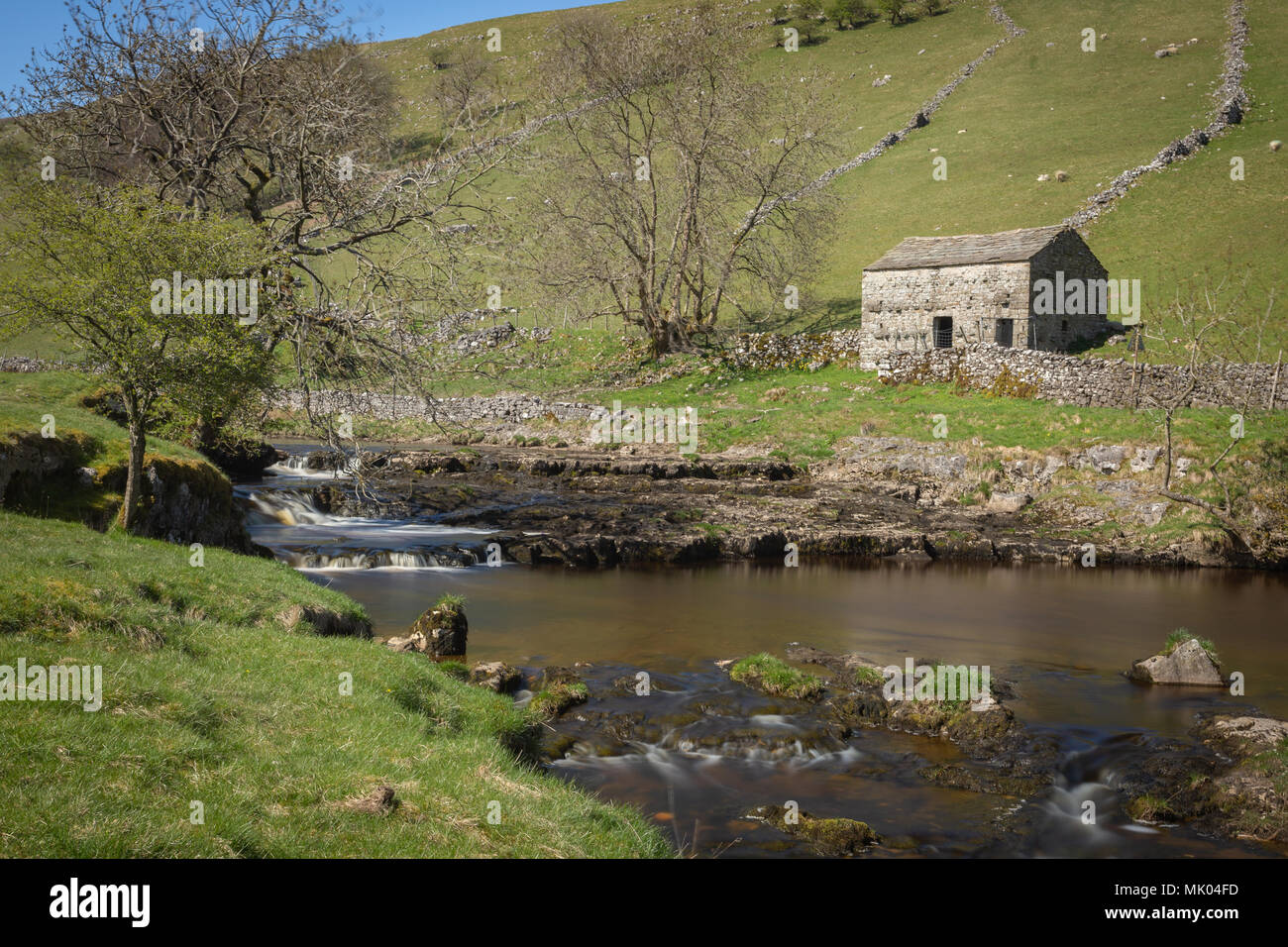 Yockenthwaite in Whafedale in the Yorkshire Dales showing new spring ...