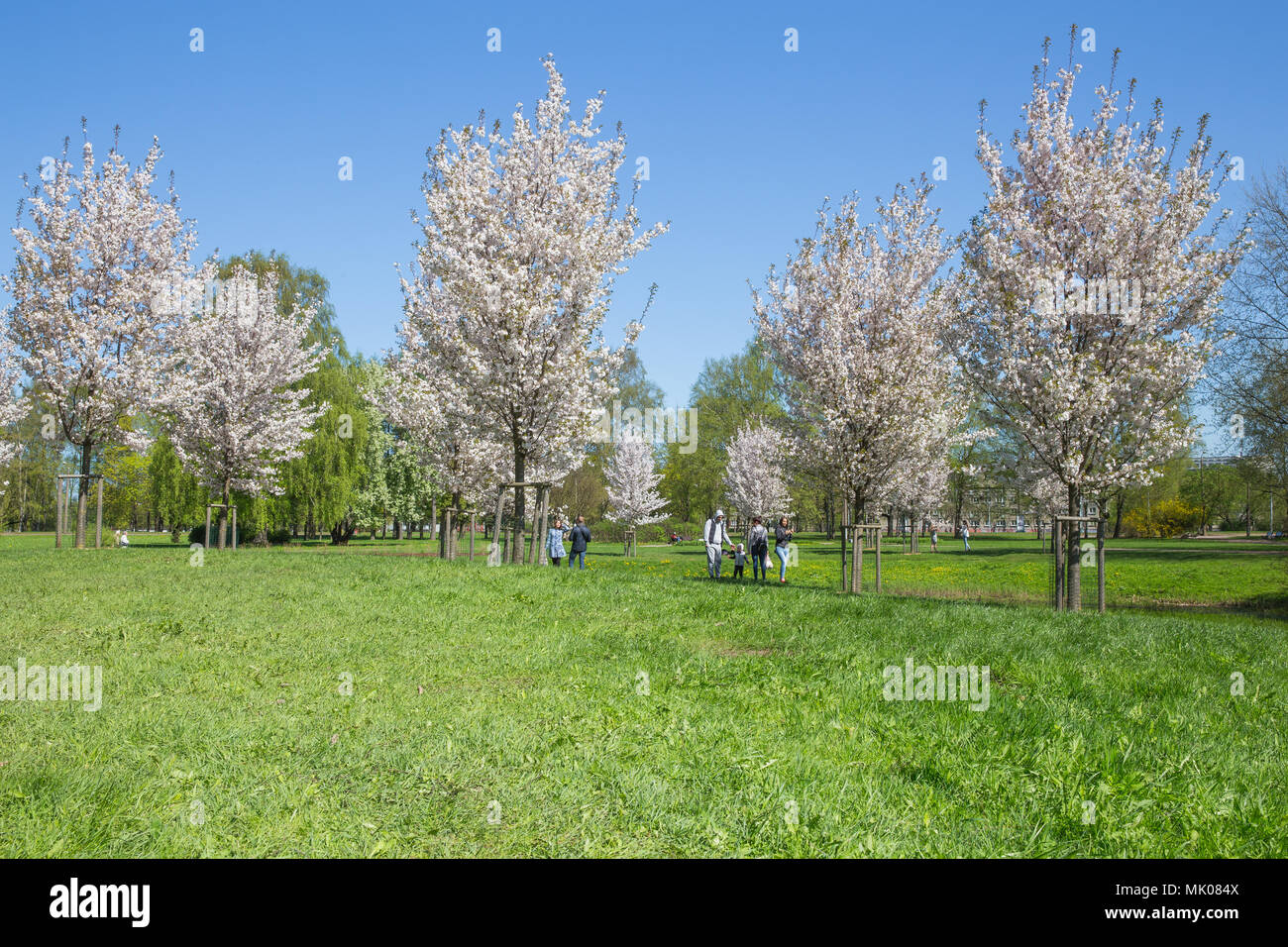 City Riga, Latvia. Victory park at capital, 2018. Nature, peoples ...