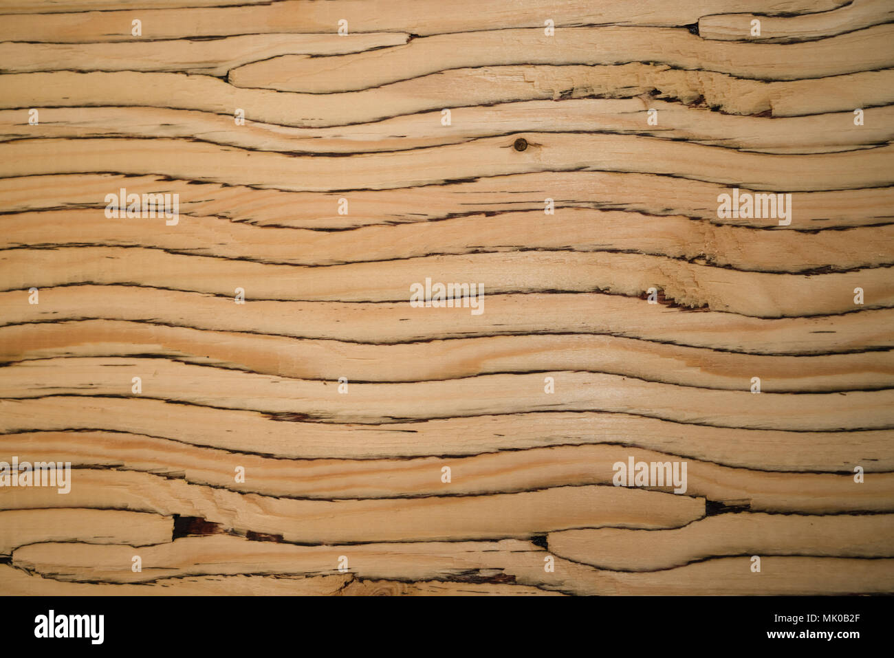 Cross laminated timber hi-res stock photography and images - Alamy