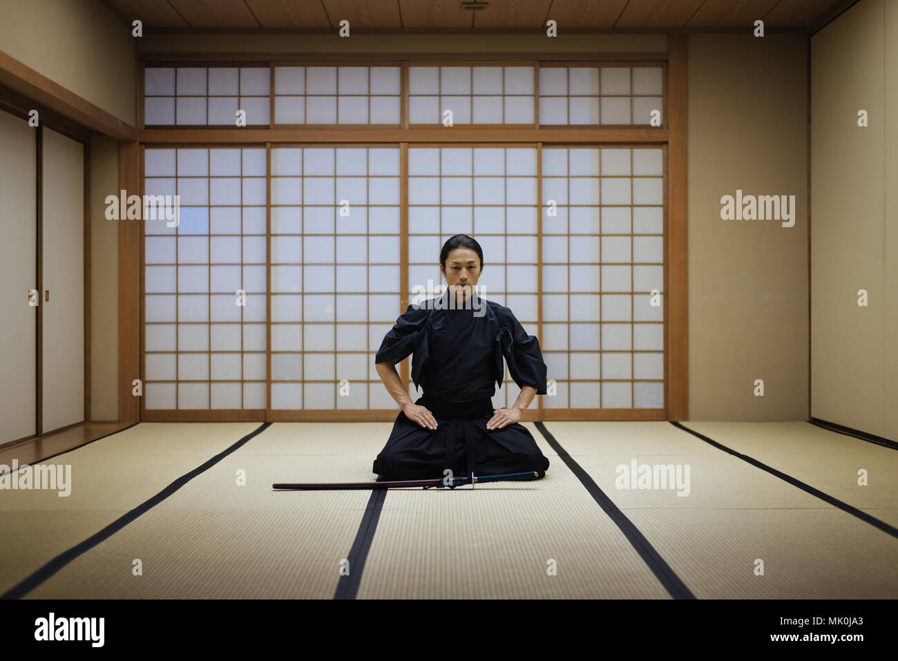 Japanese Dojo Training