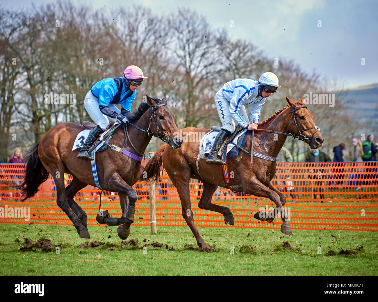 Eight galloping horses hi-res stock photography and images - Alamy