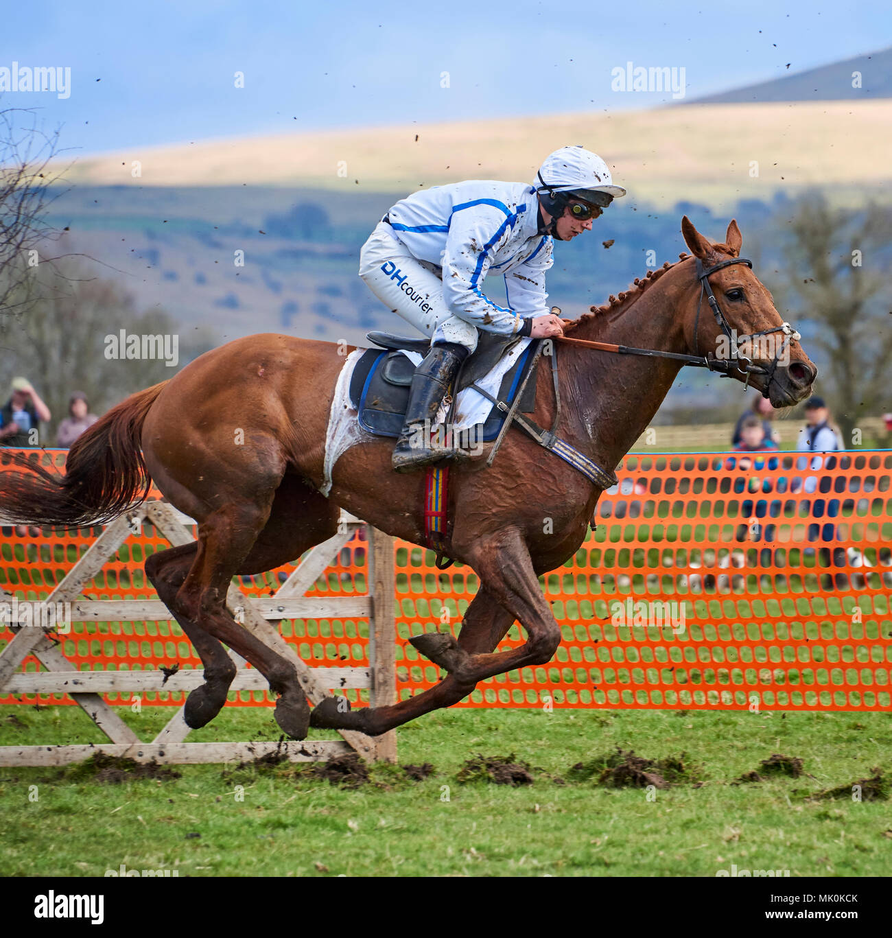 Eight galloping horses hi-res stock photography and images - Alamy
