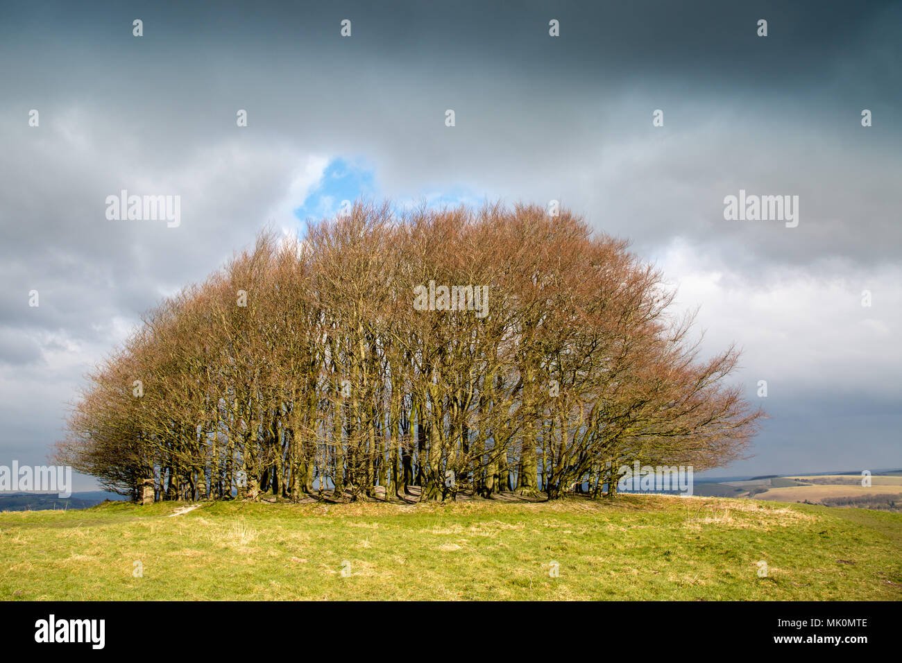 Win Green, the highest point in Dorset Stock Photo - Alamy