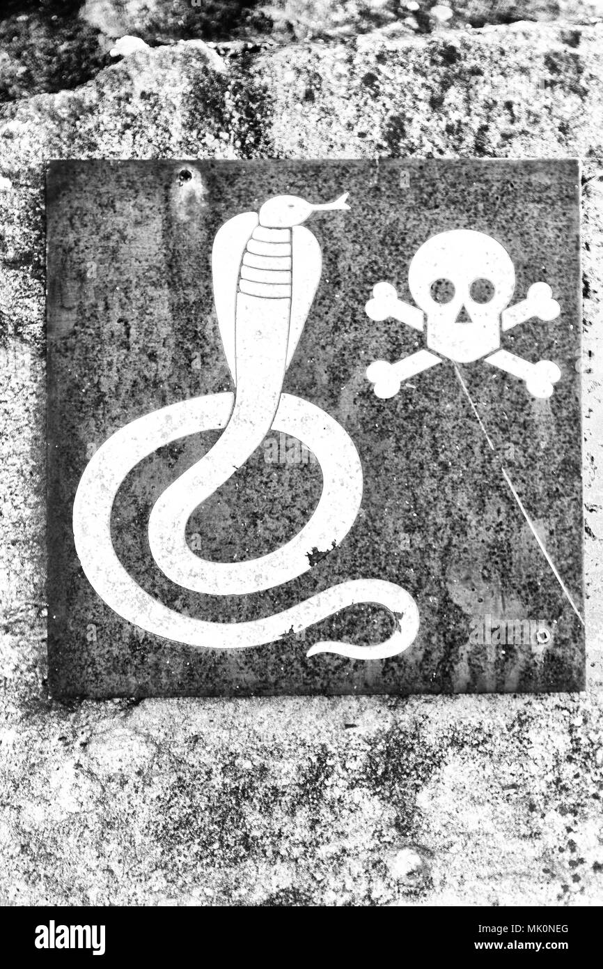 in south africa the metal signal of the danger for wild snake and the ...