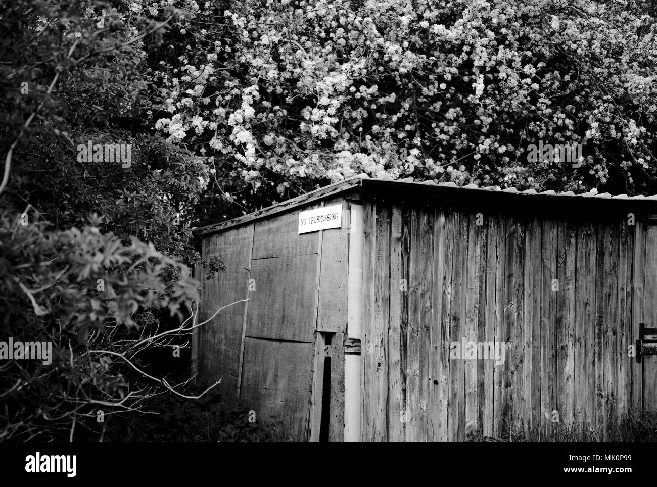 old wood stable Stock Photo - Alamy