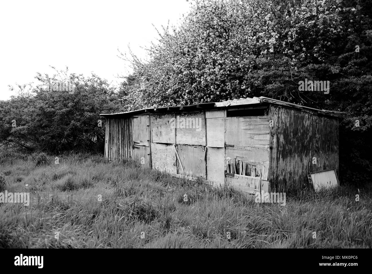 old wood stable Stock Photo - Alamy
