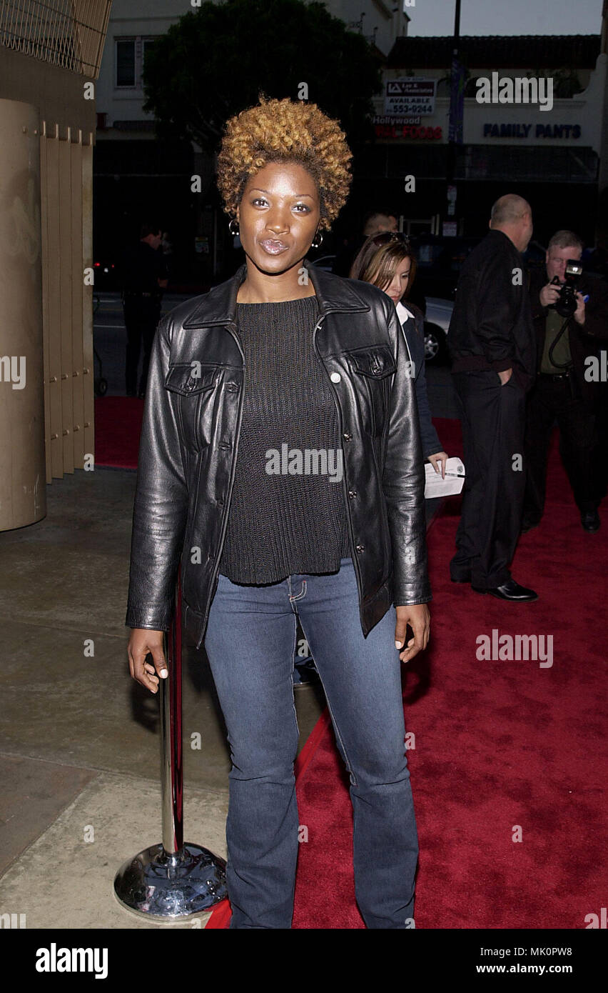 Yolanda Fox arriving at the premiere of Salton Sea at the Egyptian ...