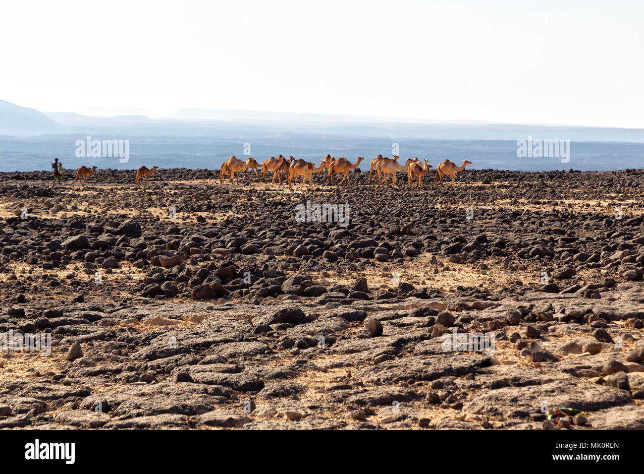 in danakil ethiopia africa in the land of afar the rock desert and the ...