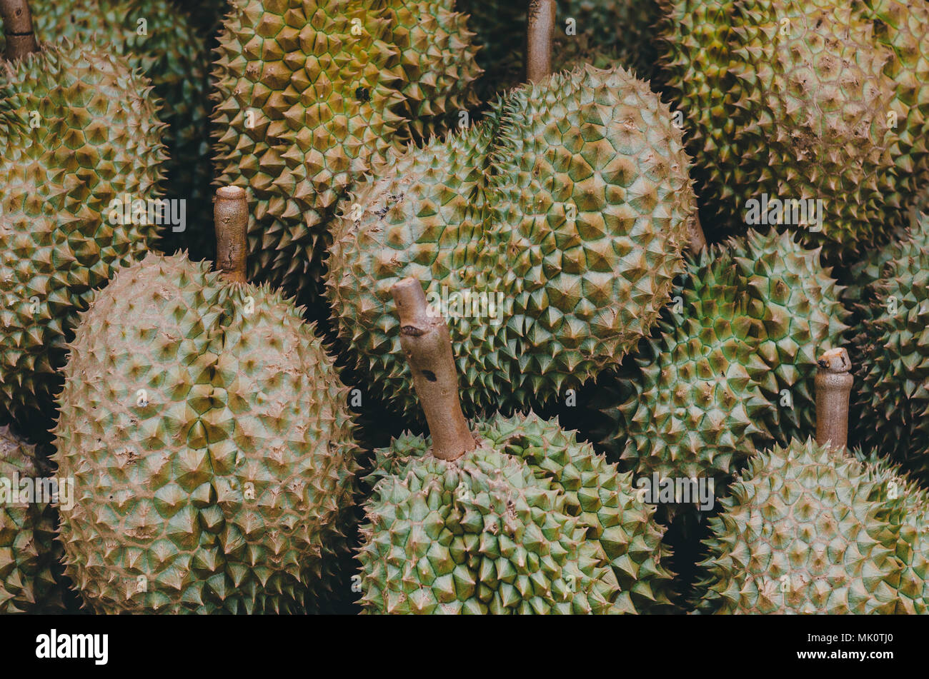Top view durian hi-res stock photography and images - Alamy