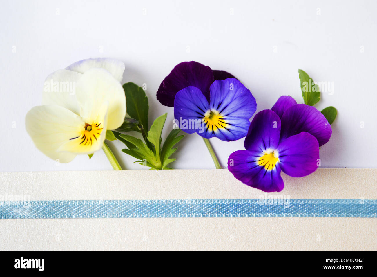 Colorful viola flowers in a paper envelope Stock Photo - Alamy
