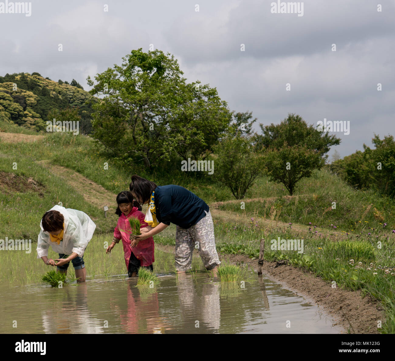 Community production hi-res stock photography and images - Alamy