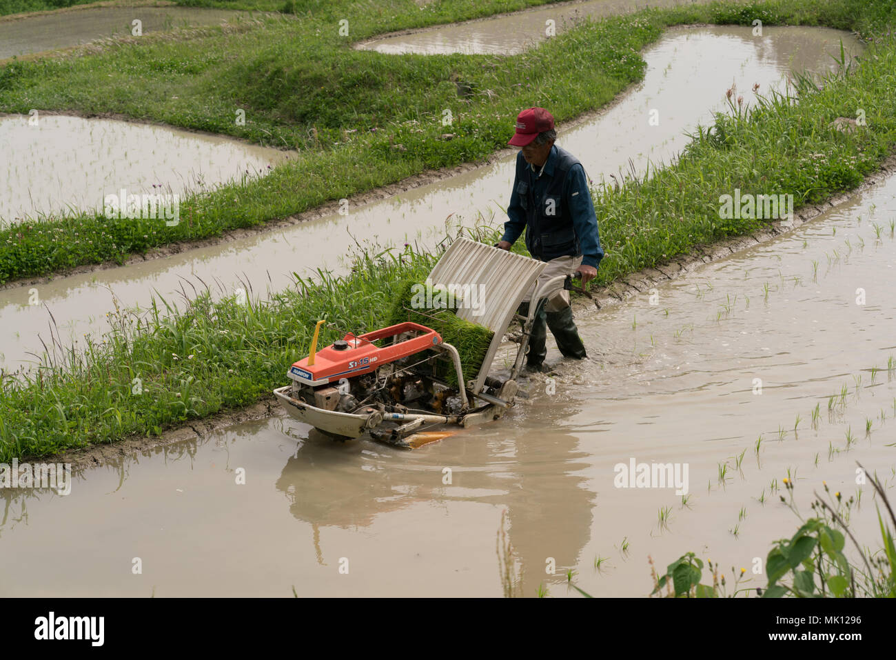 Japan rice planting machine hi-res stock photography and images - Alamy