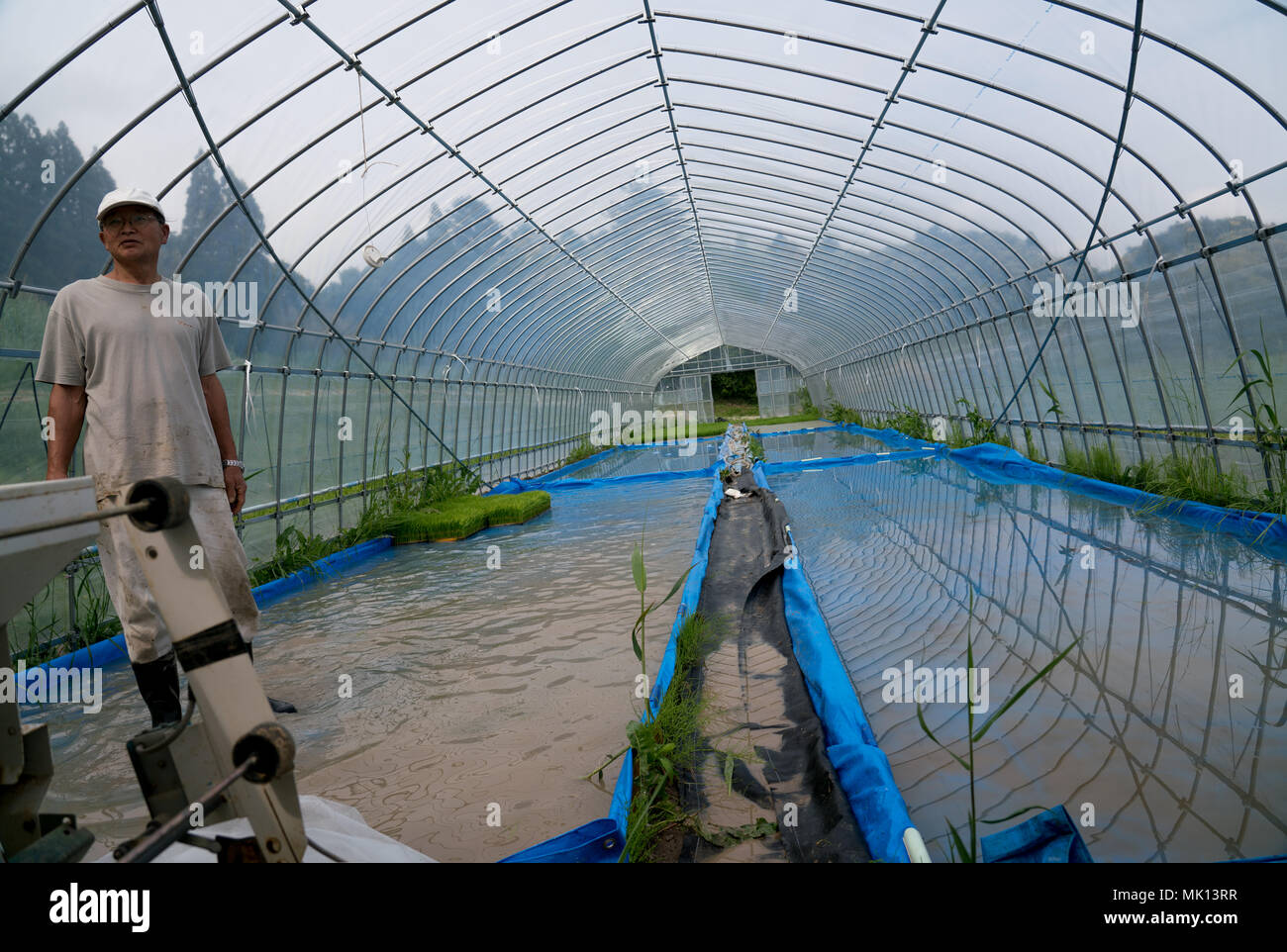 Japan rice planting machine hi-res stock photography and images - Alamy