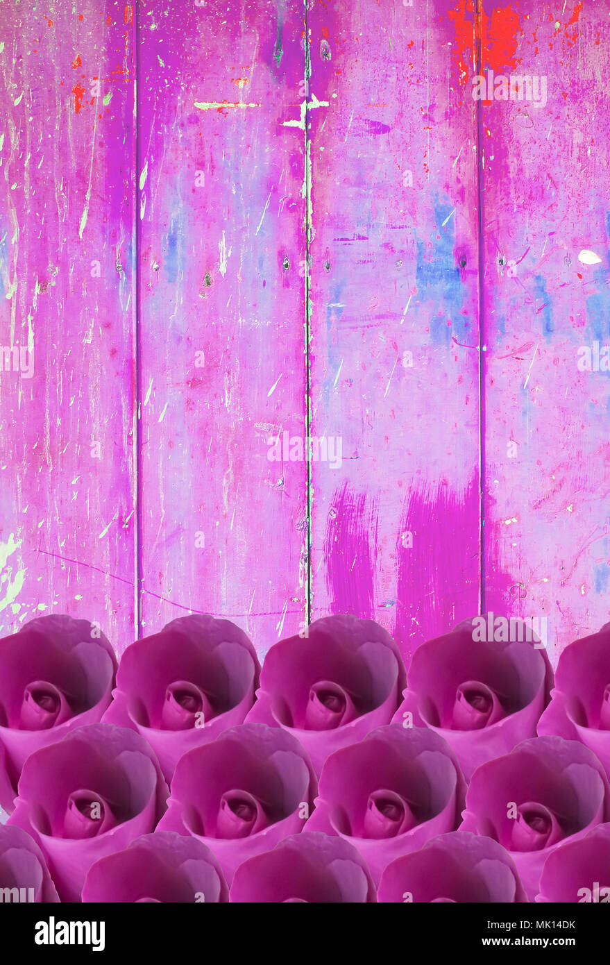 Pink vintage wood planks with roses in grungy and shabby distressed ...