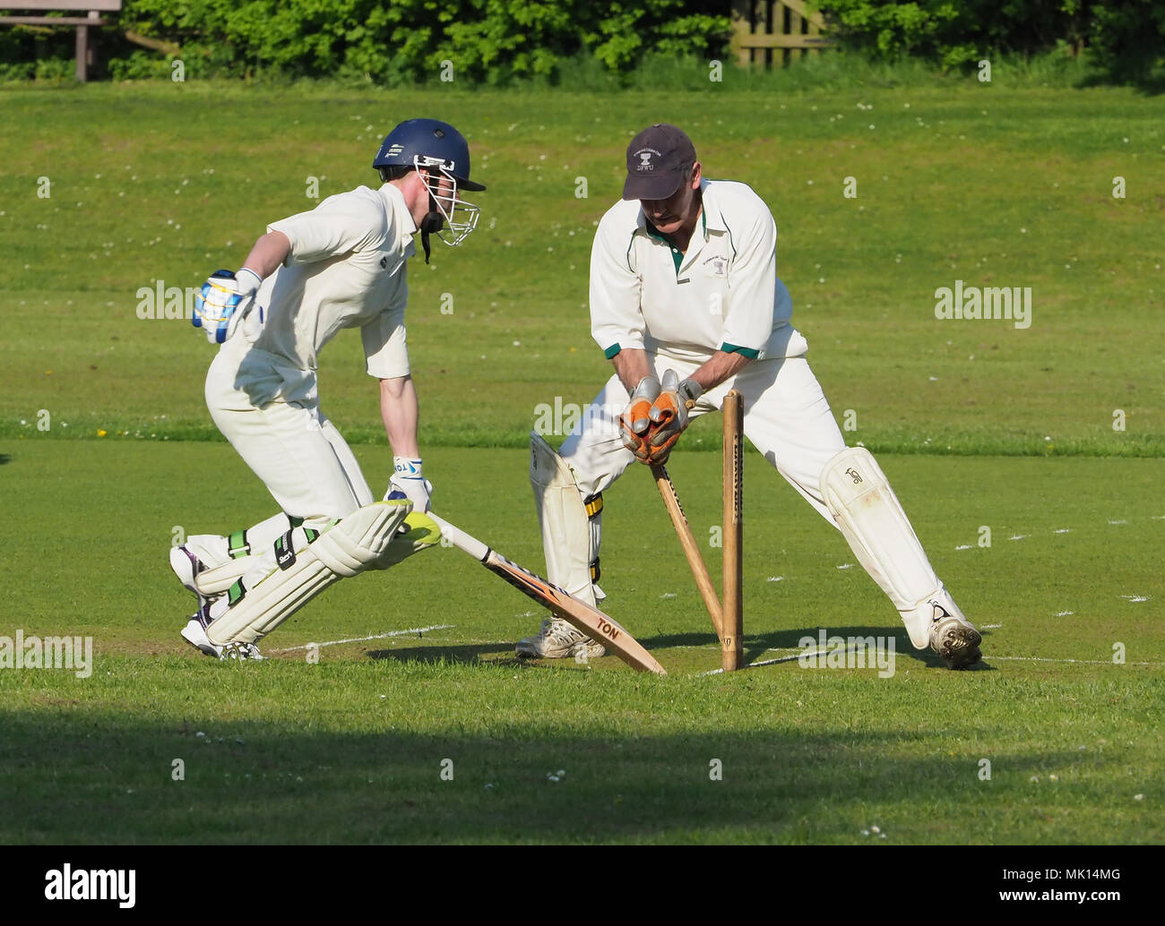 Sport cricket action stumping hi-res stock photography and images - Alamy