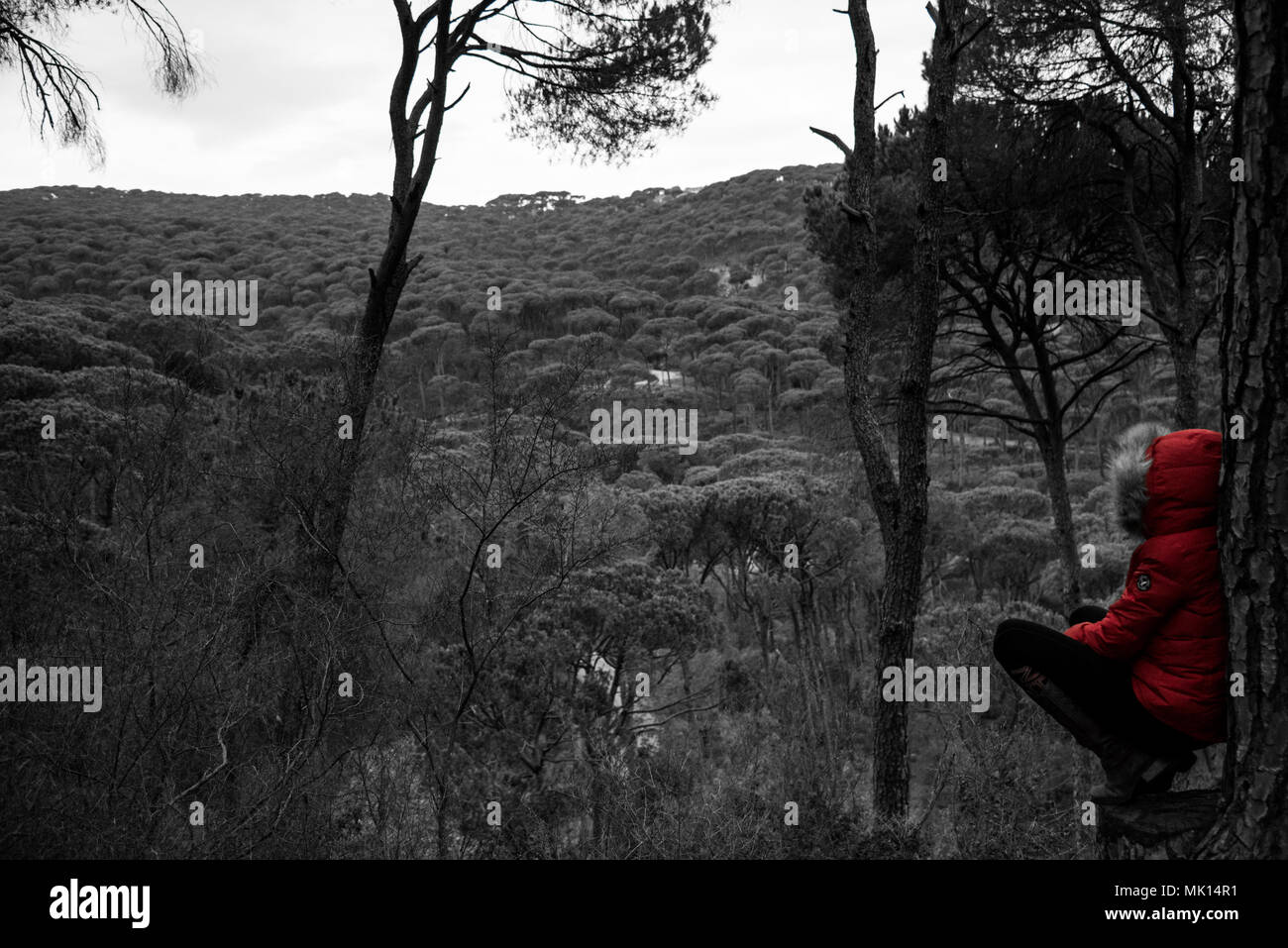 Contemplate contemplating hi-res stock photography and images - Alamy