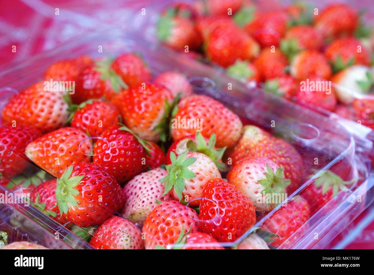 Fresh strawberry in plastic box of packaging for sell Stock Photo - Alamy