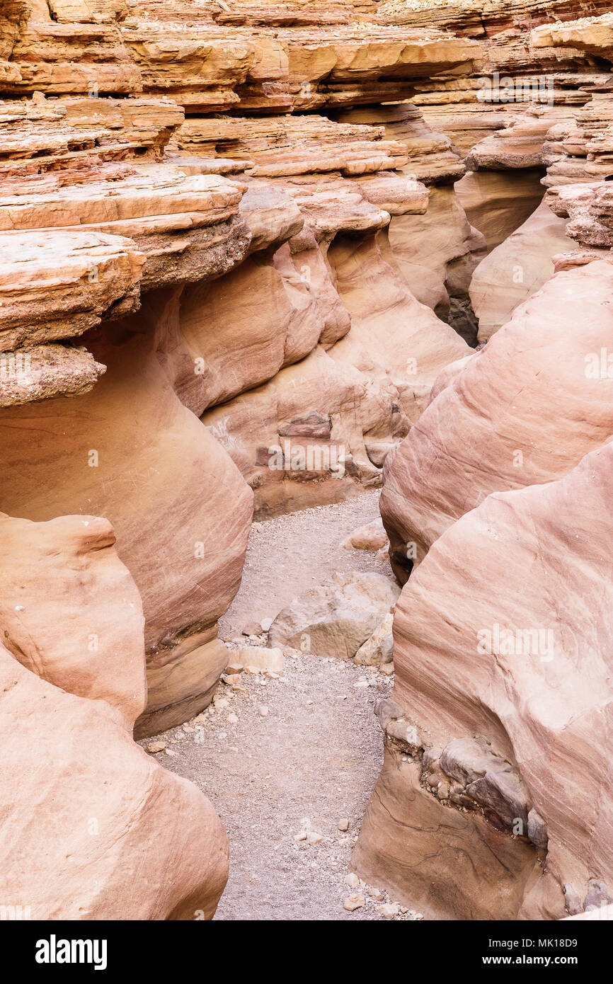Waved and layered rocks and pathway in Red canyon formed and eroded by ...